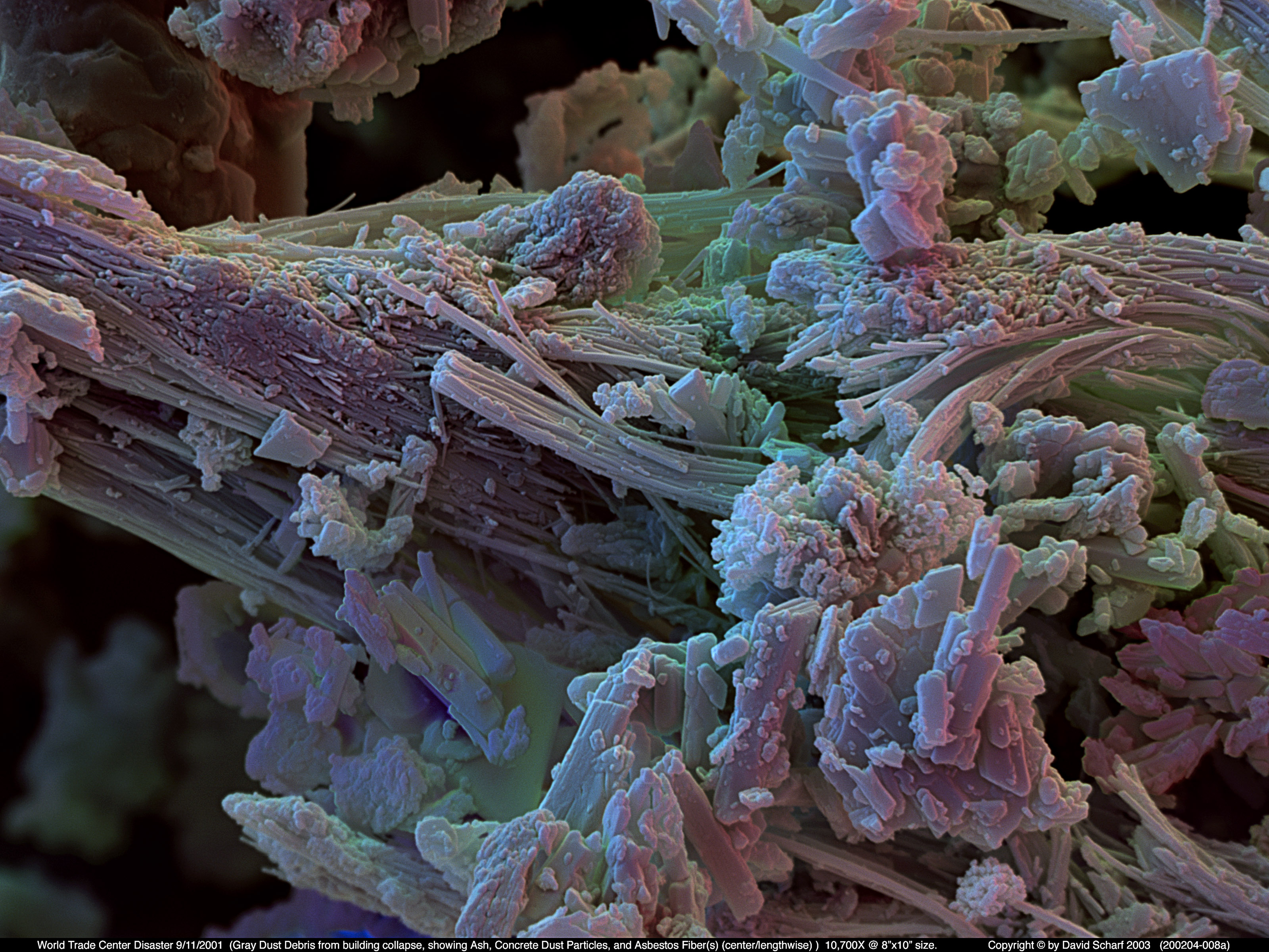 9/11 Memorial Timeline