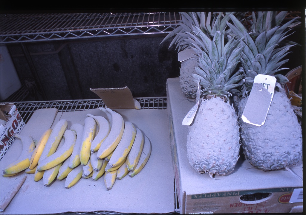 9/11 Memorial Timeline