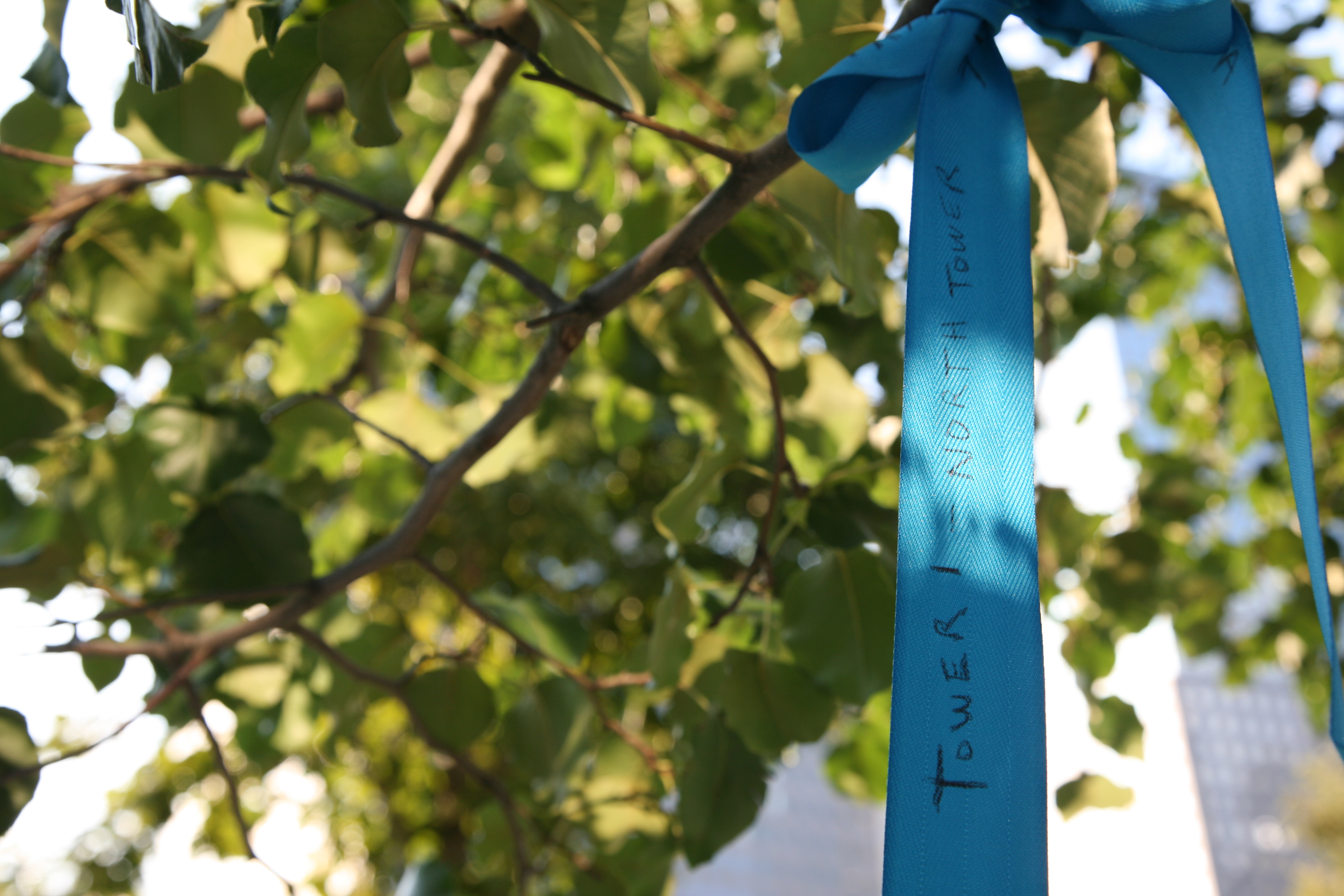 9/11 Memorial Timeline